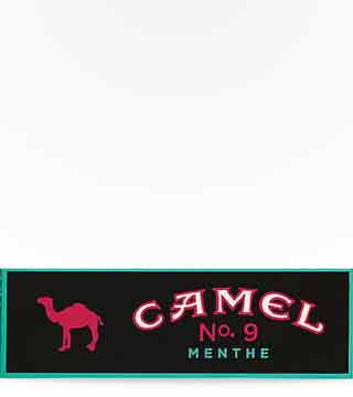 Camel – No. 9 Menthe Delivered Near You | Saucey